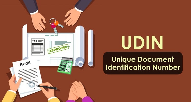 New features in the UDIN portal