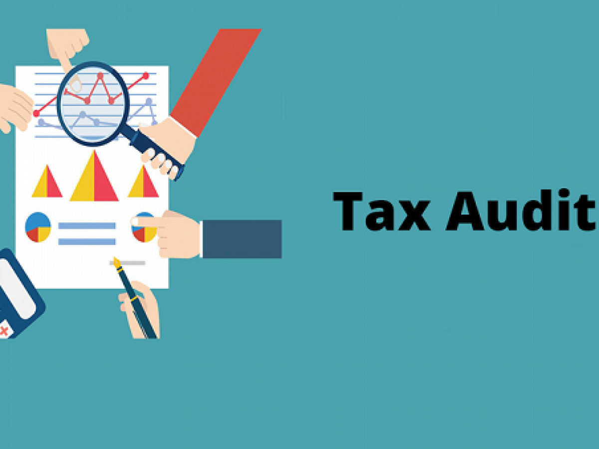 Clause wise Items reportable in the Income Tax Audit Report TAXCONCEPT
