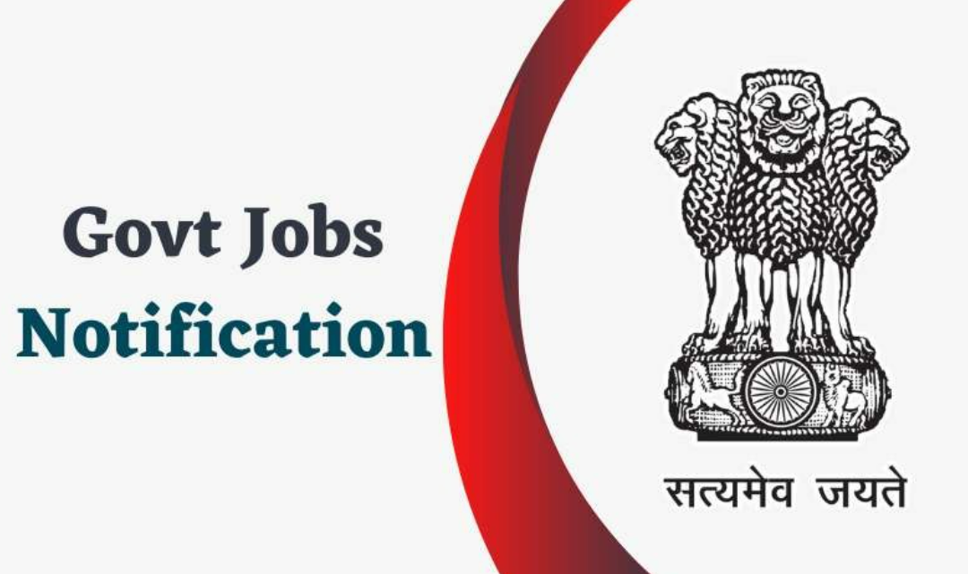 Government Job Opportunities in 2024: Don't Miss Out! TAX CONCEPT